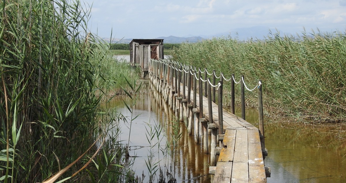 Bird Photography Hides - Valencia Birding Photography Hide Trips in Spain